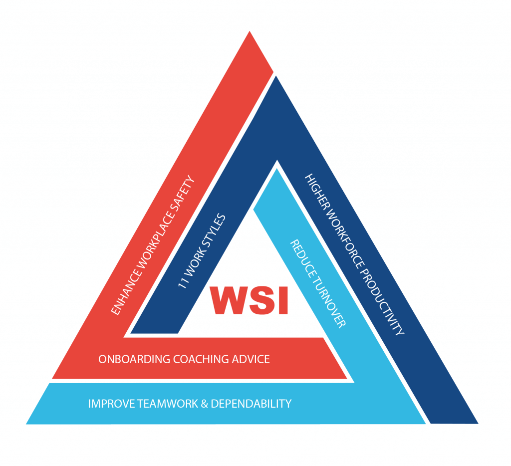 WSI-01 - AAI Assessments